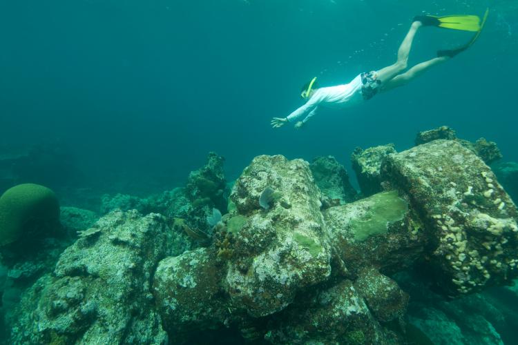 De beste snorkelplekken in Zuid-Afrika – Drive South Africa