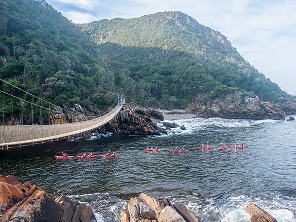 Les raisons pour lesquelles vous devriez visiter la Storms River ...