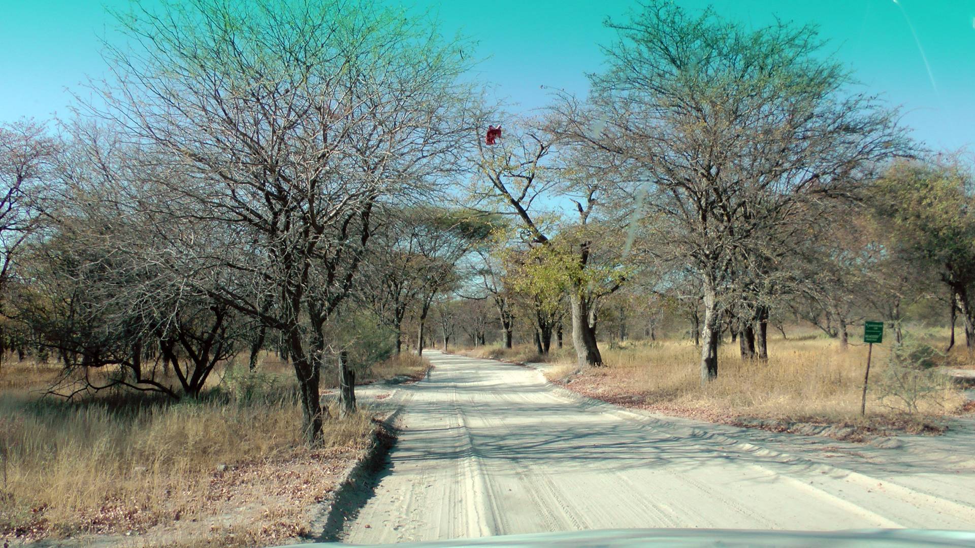 Maun, Botswana facts | Drive South Africa