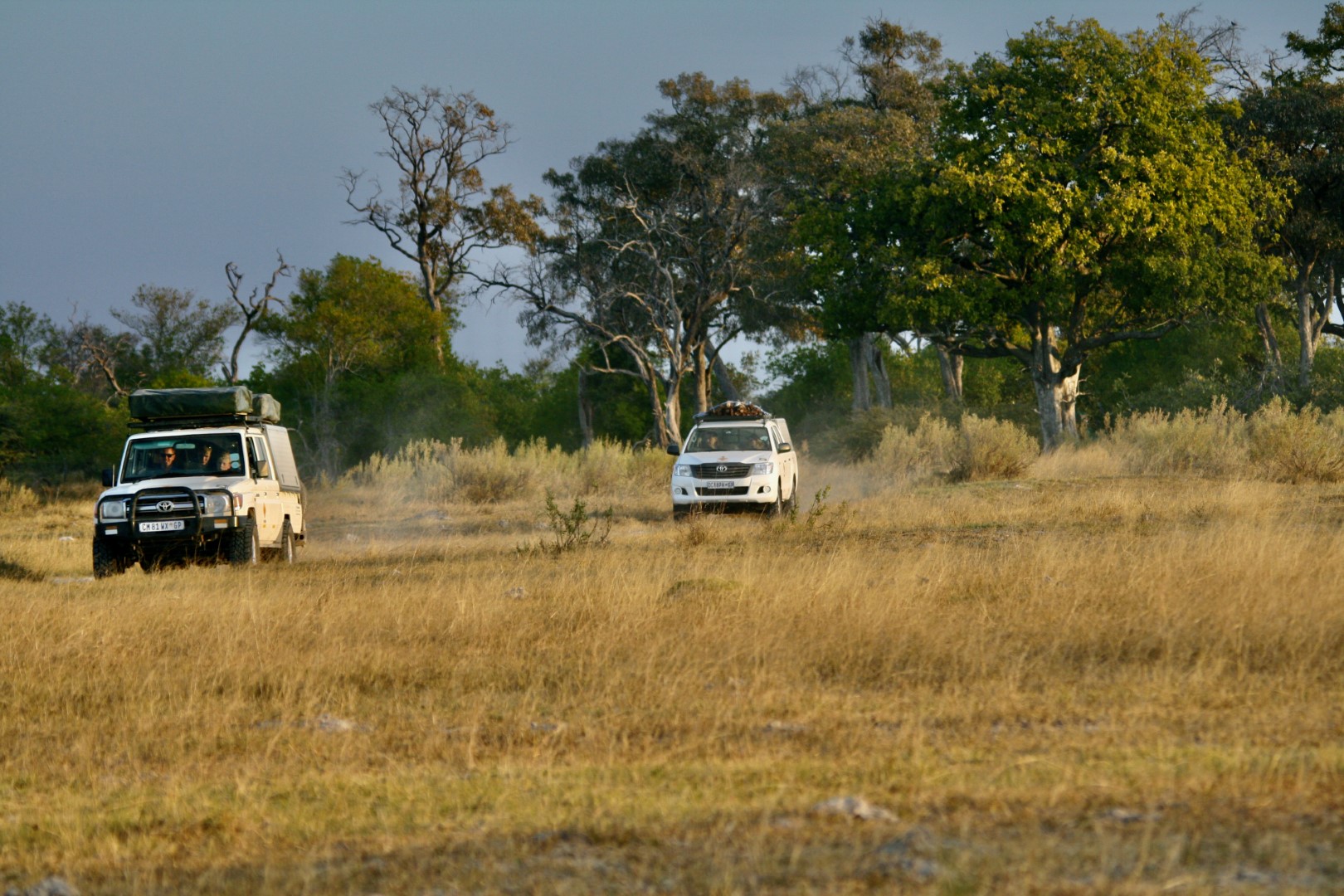 15 Day Classic Botswana Road Trip Itinerary – Drive South Africa
